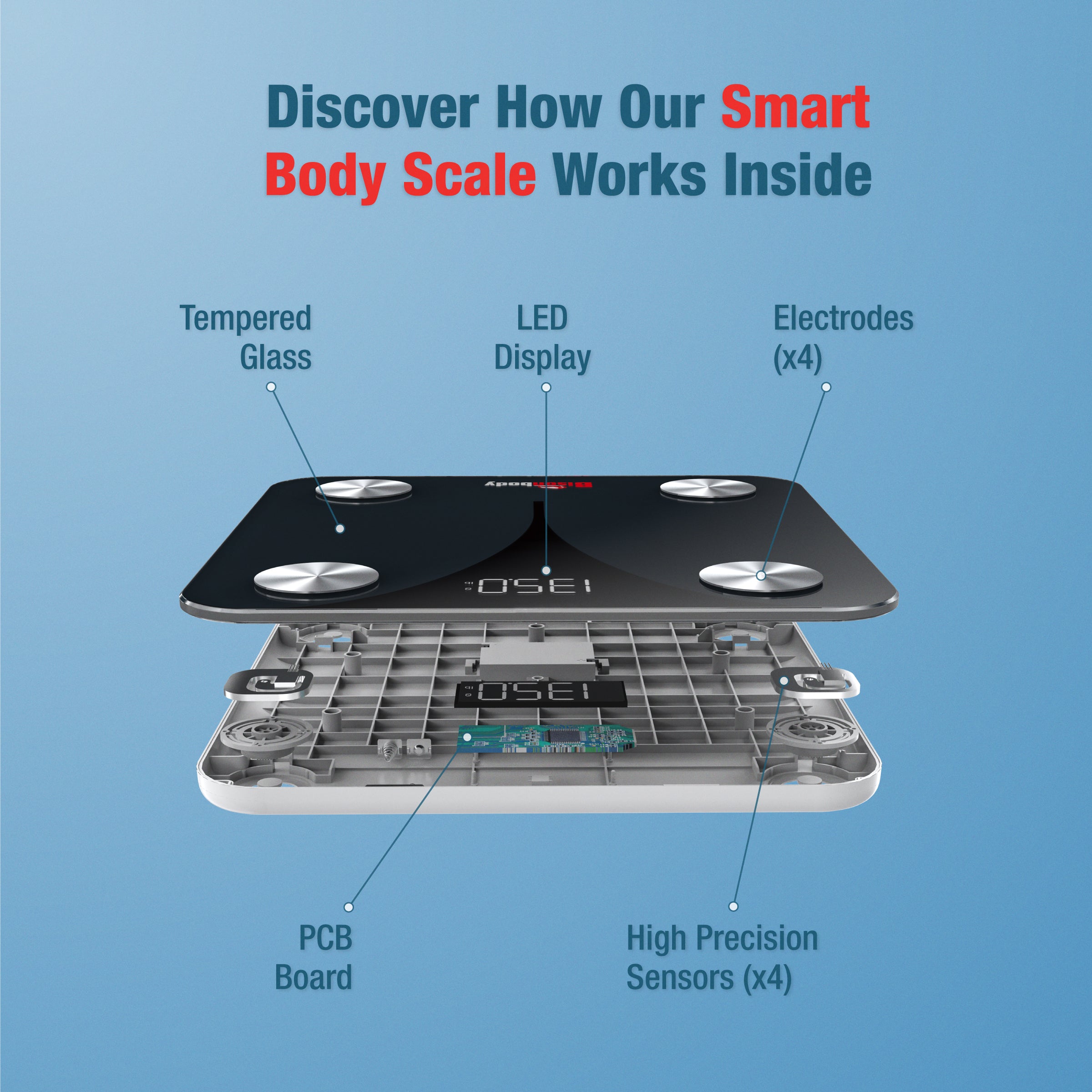 Body Weight Scales - BisonBody